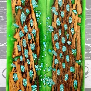 Cholla Cactus – Exotic Knife Handles