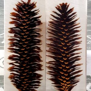 Pinecone Scales – Exotic Knife Handles